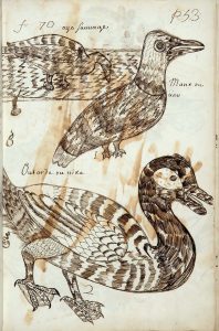 The Jesuits Open the Upper Peninsula to the World